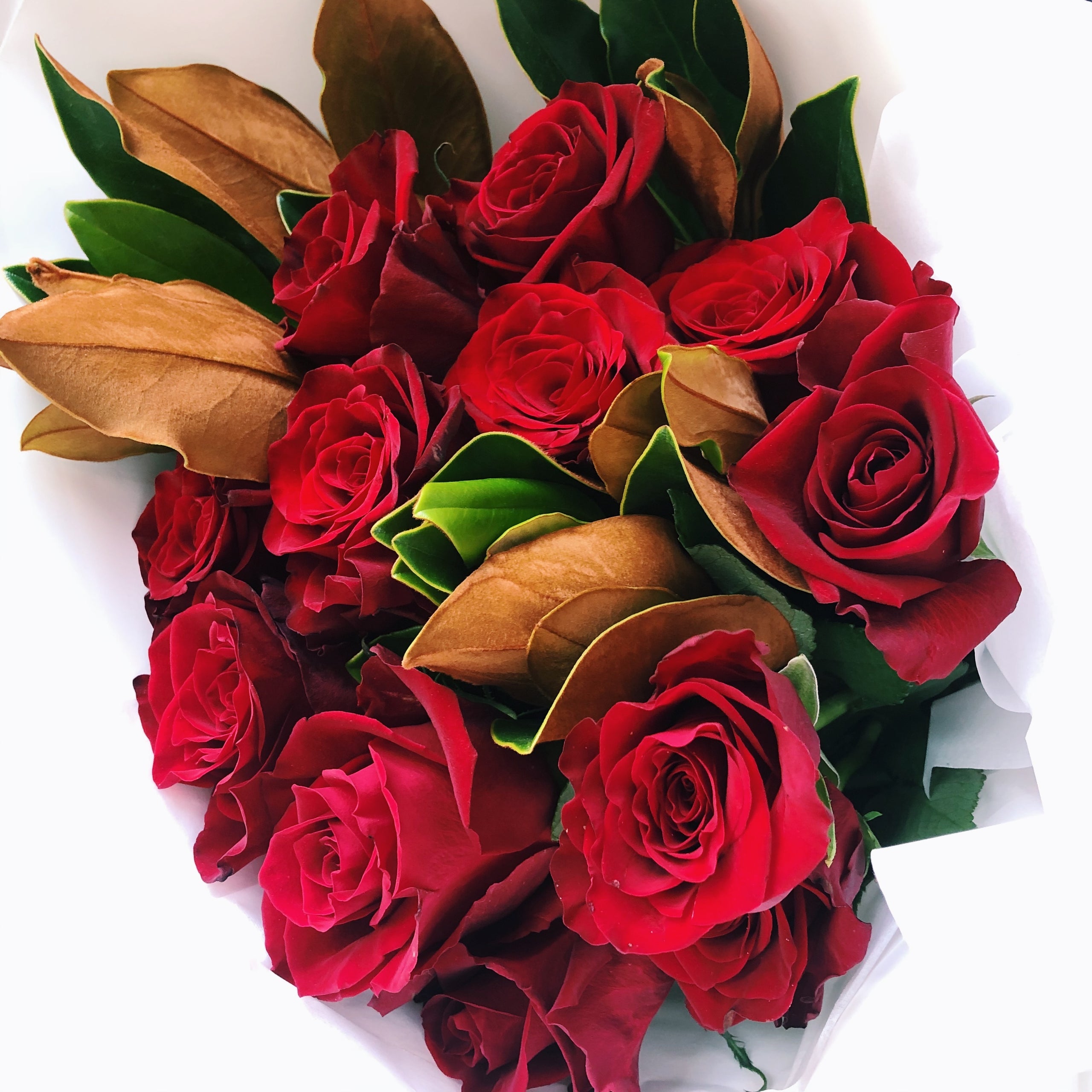 Classic Dozen Roses | Botanique New England