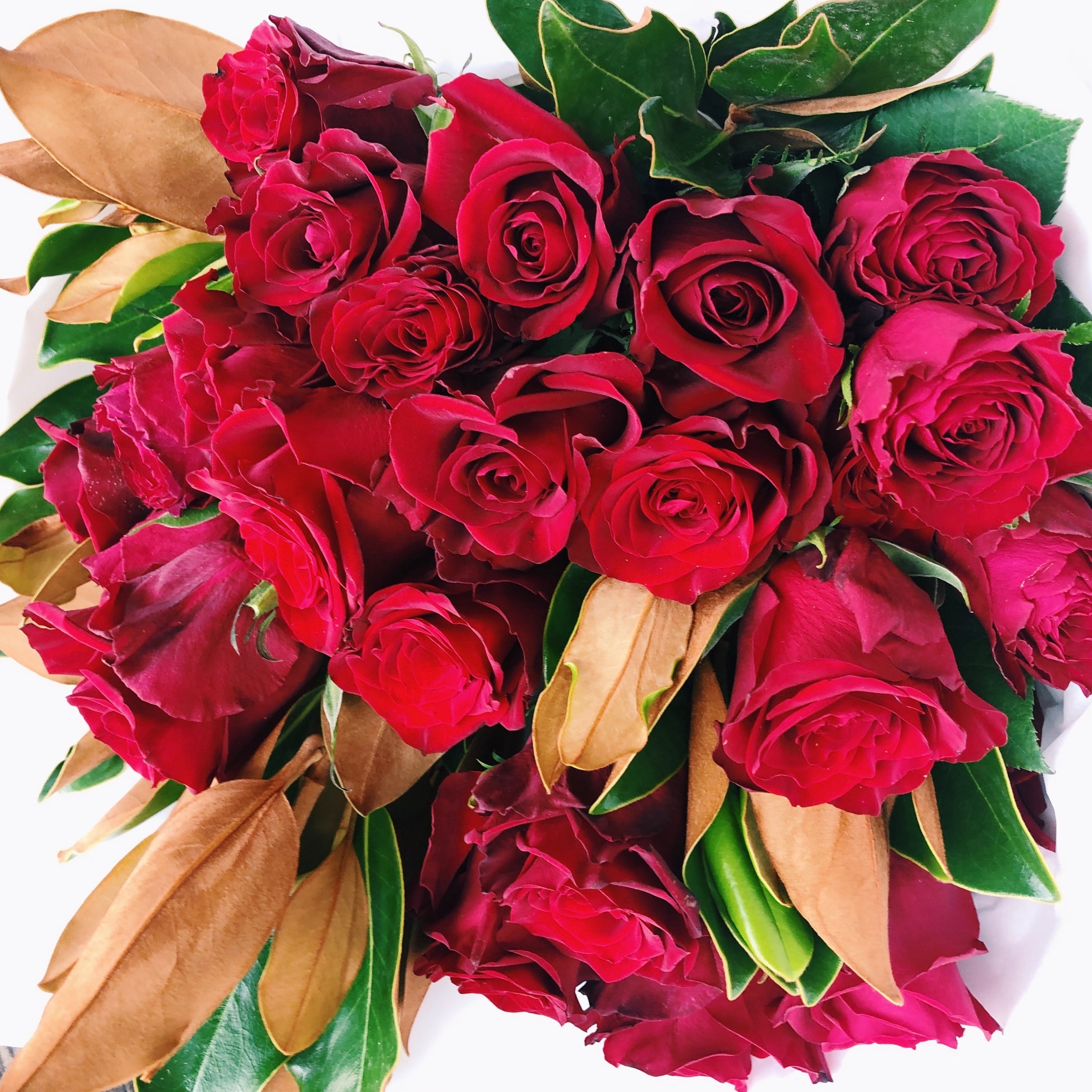 Two Dozen Roses | Botanique New England